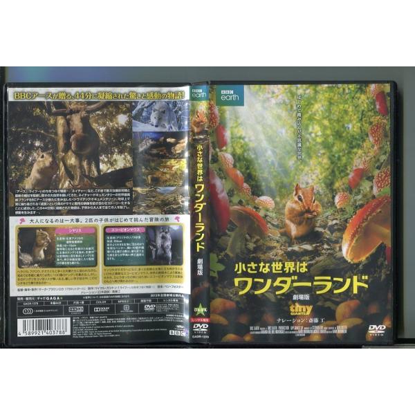 小さな世界はワンダーランド 劇場版/ 中古DVD レンタル落ち/マーク・ブラウンロウ/斎藤工/y9898音声：日本語レンタルで使用した商品です。国内正規品です。ケースはセル用ケースに交換済です。ディスクは全て研磨機にてクリーニングを行ってお...
