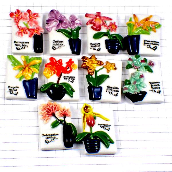 背景の１マスは５mmです。当店のフェブはヴィンテージのレアな限定フェーブです。