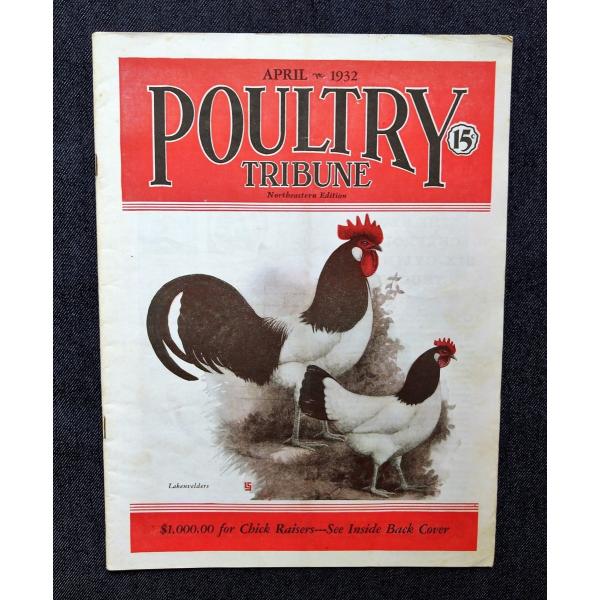 めずらしい「世界の本」をセール価格で販売しています。プレゼント や インテリア に おすすめ の洋書、永久保存したい アート写真集、かわいい イラスト の 洋書絵本、資料作成 に役立つ 建築・デザイン ブック、英語教育・英会話 向け 古本、...