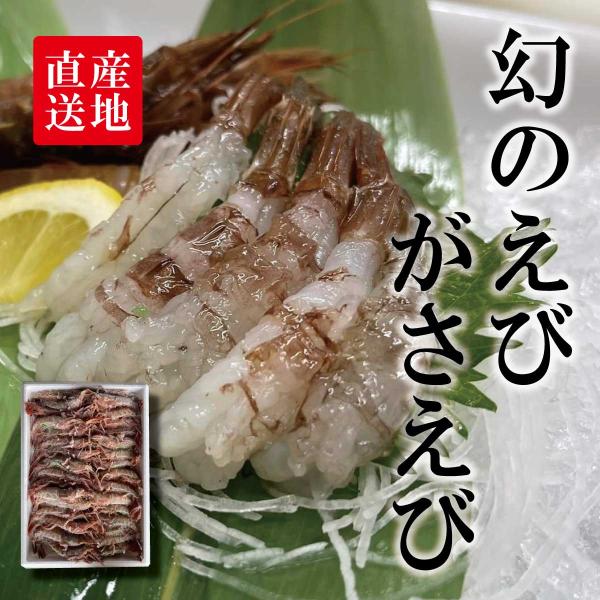 鮮度の足が早いため、市場には出回らない幻のエビです。地元民の間では甘えびより甘いと人気のエビです。通常なら水揚げされてから市場に出ますが、とれた船の上ですぐに急速冷凍をかけるため最高鮮度の状態で幻のガサエビが楽しめます。お刺身はもちろんトロ...