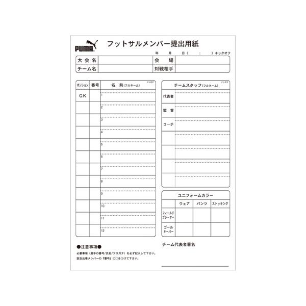 メンバー用紙●素材紙●サイズA5・100枚●仕様●10FH_Accessories