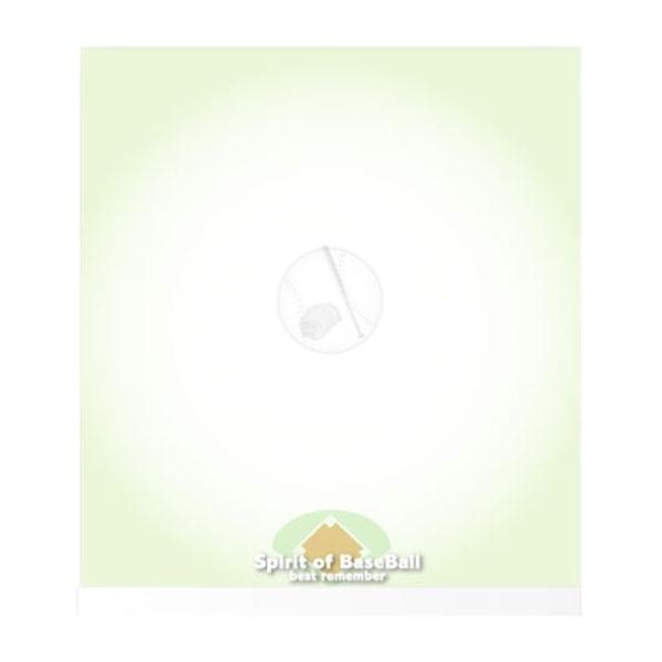 水性、油性、ボールペンにも、にじまない書き易い色紙。クリアフィルムパック ( 汚れを防止、色紙の劣化も防ぐ保存パック。ストレータープロテクト ( 色紙の反り曲がりを防止 )素材：スチロール樹脂、 PVCサイズ：標準サイズ (272 × 24...