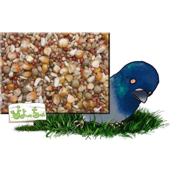 標準的なっていってもわかりにくいと思うけど、お店でよく売られているようなフツーのはと配合です。