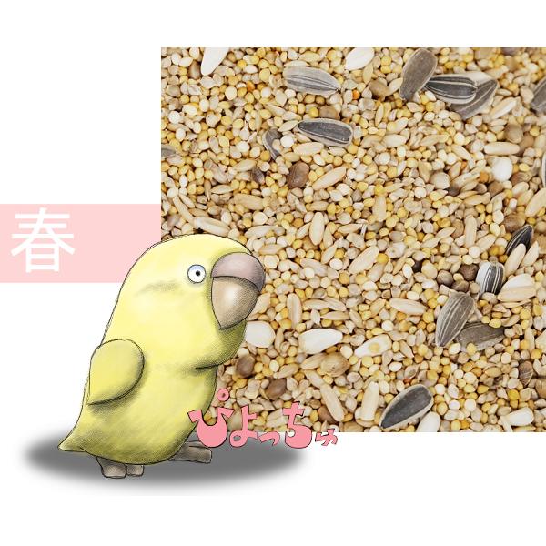 ラブバード・マメルリハ・中型インコさんの春用ブレンドですよ。