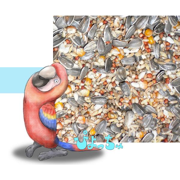 オウムさんが喜んで食べてくれるといいな！