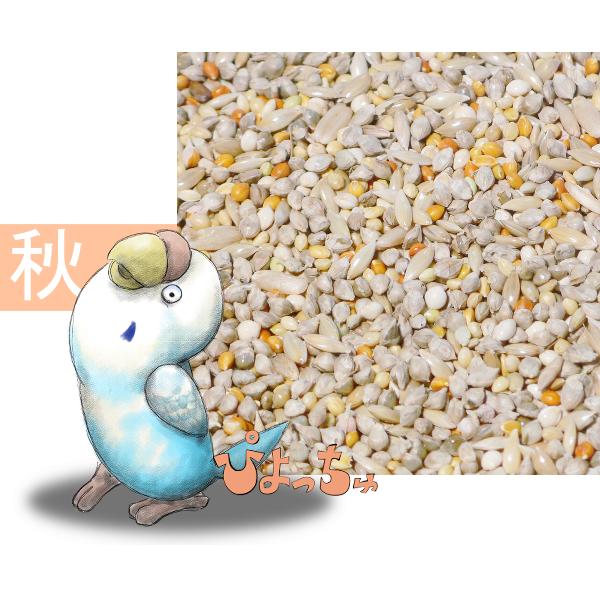 セキセイインコさんの秋用ブレンドですよ。