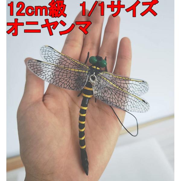 「商品情報」材質： PVC 生産国：中国 状態：組み立て、塗装が完成なプラモデル。別途、工具、塗料等が必要なし。【人気サイズ】サイズは大きめ、身長 11cm、高さ 2.5cm、翼展開の幅 12cm (約1:１スケール)【セット内容】オニヤン...