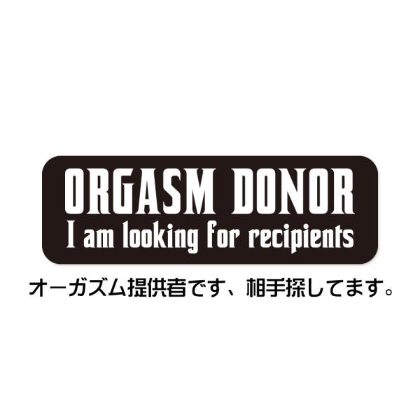 ヘルメットステッカーになります。横長のシルエットでヘルメットに貼りやすいメッセージステッカー。アメリカではバイカーを中心に昔から定番人気ですよね！こちらはジャパンプリントのヘルメットステッカー。面白いワードがデザインされているのでぜひ選んで...
