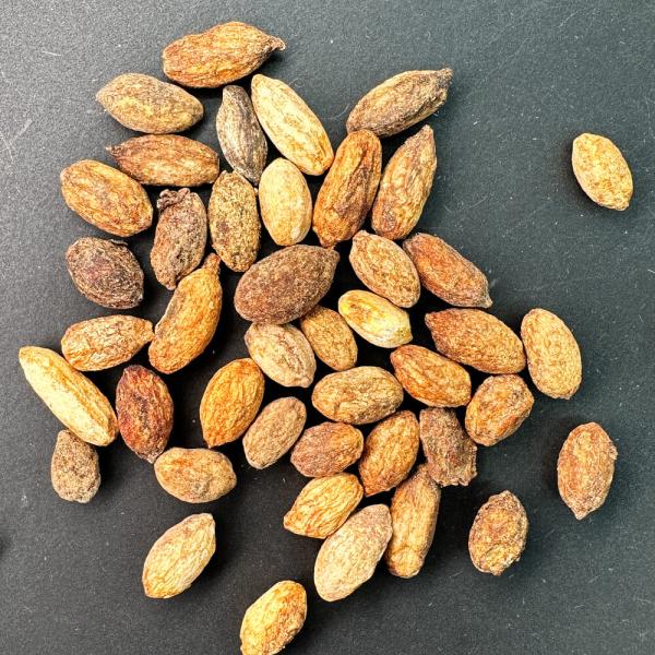 キフォステンマ・ウター(Namibia)(Cyphostemma uter(Namibia form))の種子の販売です。1セット10粒キフォステンマ・ウター(Namibia)の販売実績2024年11月　入荷、販売中