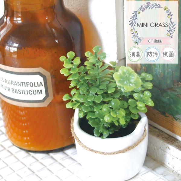 まるで本物のように繊細に作られた人工の観葉植物なので、水やりなどのお世話いらずでお手軽にグリーンのある暮らしが叶います。お部屋の空気をキレイにする、CT触媒加工を施しているので消臭・抗菌・防汚効果が期待できます。何気ない癒しをくれるころんと...