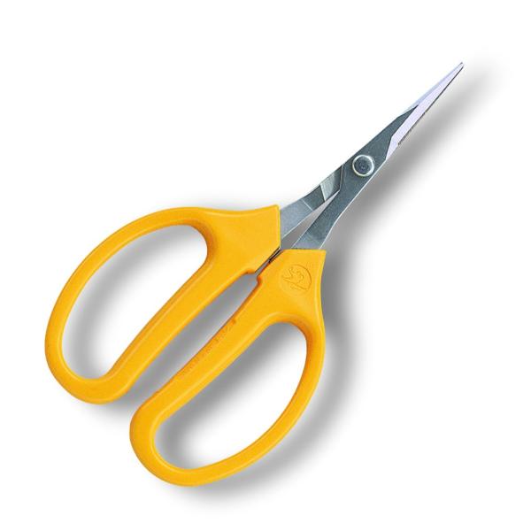 ステンレス、ソリ刃。爆買