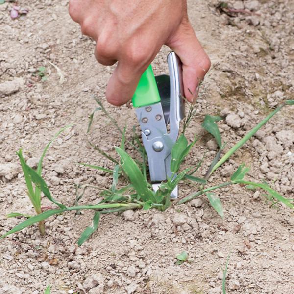 【キーワード】雑草取り 道具 雑草抜き 雑草 草むしり 草 庭 夏 根爆買