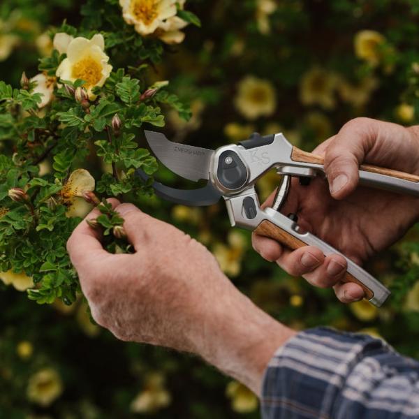 #00558 Kent &amp; Stowe ケントストー イギリス 英国 農作業 園芸鋏 ガーデニング鋏 切断 よく切れる 果樹 庭木 生け花 生木 茎爆買