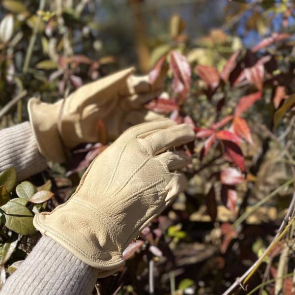 #00556 Kent &amp; Stowe ケントストー イギリス 英国 ガーデニング 庭 園芸 オシャレ ギフト 母の日 プレゼント Ladies Small #00556 Ladies Medium #00555 Mens Medi...