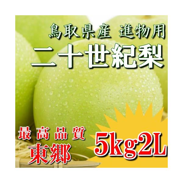 【発売日：2026年08月28日】鳥取県産の二十世紀梨。その中でも最高品質として名高い「東郷」ブランドです。ご家庭でお楽しみいただくのはもちろん、贈り物としても大変人気があります。産地（鳥取県）からの発送になります。青果物ですので、梨の発育...