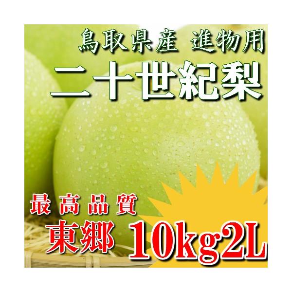 【発売日：2026年08月28日】鳥取県産の二十世紀梨。その中でも最高品質として名高い「東郷」ブランドです。ご家庭でお楽しみいただくのはもちろん、贈り物としても大変人気があります。産地（鳥取県）からの発送になります。青果物ですので、梨の発育...
