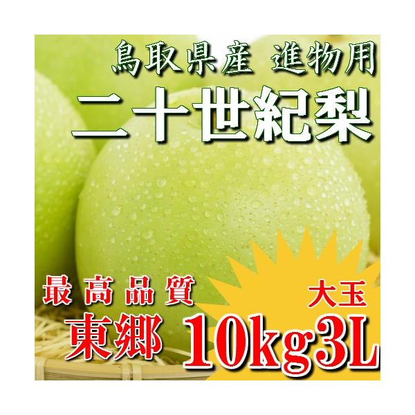 【発売日：2026年08月28日】鳥取県産の二十世紀梨。その中でも最高品質として名高い「東郷」ブランドです。ご家庭でお楽しみいただくのはもちろん、贈り物としても大変人気があります。産地（鳥取県）からの発送になります。青果物ですので、梨の発育...