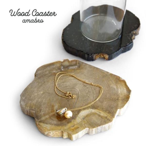 地中に埋もれた樹木が、膨大な年月をかけ地層からかかる圧力によって化石化したという珪化木(ペトリファイドウッド)を使用したコースター。大自然が産みだしたこの神秘的な形は、ひとつとして同じものはありません。■ブランド　amabro（アマブロ）■...