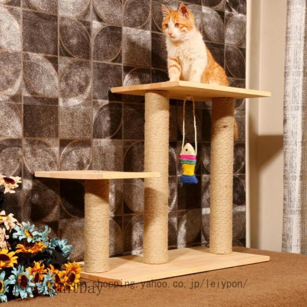 適用対象：子猫から大型猫まで