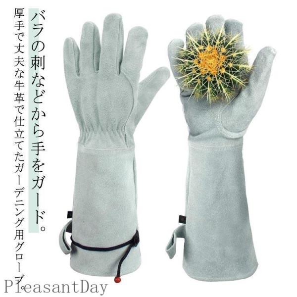 「爆買」 全長42cm 手のひら11.5cm