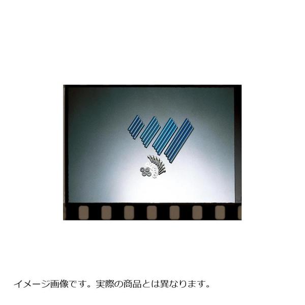 メーカー名：プロトメーカー品番：PSP172B-4販売備考：172mm色[カラー]：ブルー（アルマイト）サイズ：172mm仕様：13段用備考：商品内容：サイドパイプ×4、取り付けボルト×8、ゴムダンパー×4、ワッシャー×4