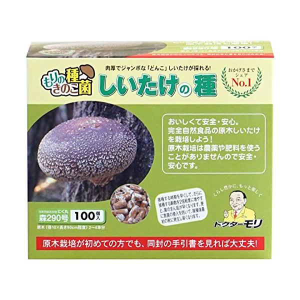brown/100駒/-・Size:100駒・サイズ：高さ90×縦110×横75mm・品種名：森290号　※海外への持ち出しを禁止致します。・発生温度：7〜20度・発生タイプ：中低温性、秋春出系・使用原木本数：2〜4本（長さ90×直径10c...