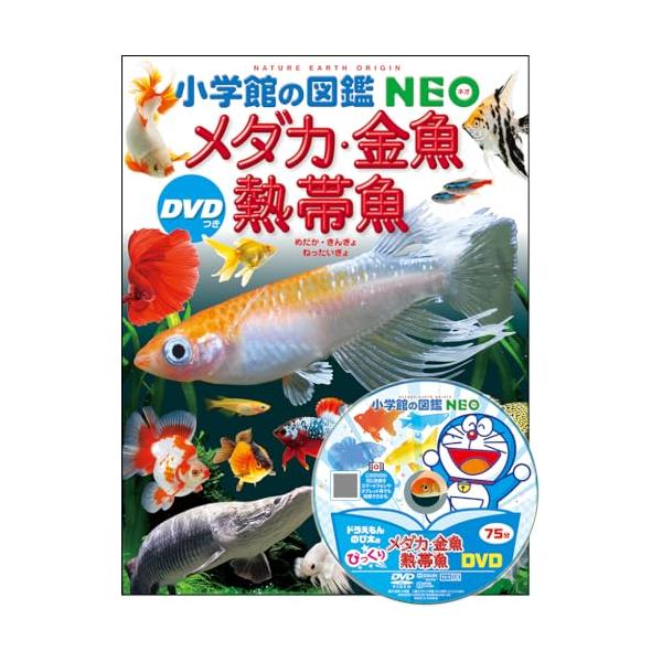 今度のNEOは「家で飼える魚」を大特集!  この一冊で飼育マスターに!スマホやタブレットから見られる動画で、いろいろな飼育テクニックを学べます。さらに特典DVD(約75分)つき。  【大人気のメダカは約150種類が登場!繁殖のやり方もわかる...