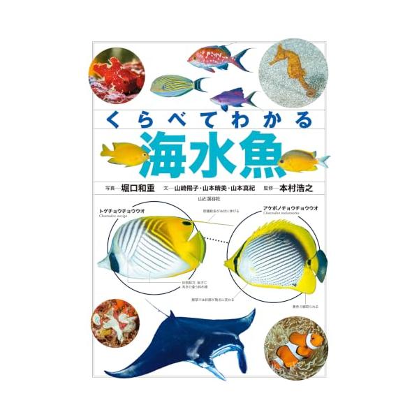 日本近海で見られる海水魚約550種の掲載。 似ている魚が近くに並ぶから分かりやすい！  「似ている種類が比較できてわかりやすい」と好評の『くらべてわかる図鑑』シリーズに待望の「海水魚」が登場！  日本近海に生息する海水魚のなかから、主にダイ...
