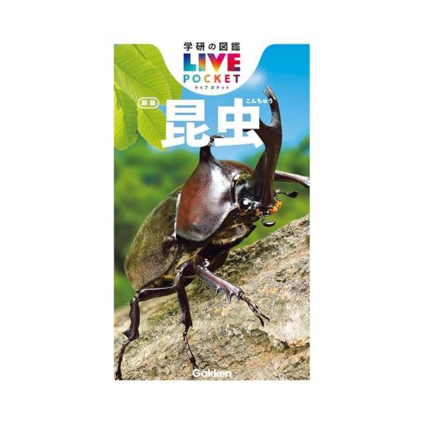 ■すべての昆虫を生きたまま撮影! 1100種以上の昆虫を収録した、お出かけにぴったりのポケット図鑑! ◇生きた昆虫の写真で、特徴がよくわかる! 全国の研究者チームが、実際に昆虫を採集し撮影した写真を収録。「生きた姿」の美しい色や姿で掲載して...