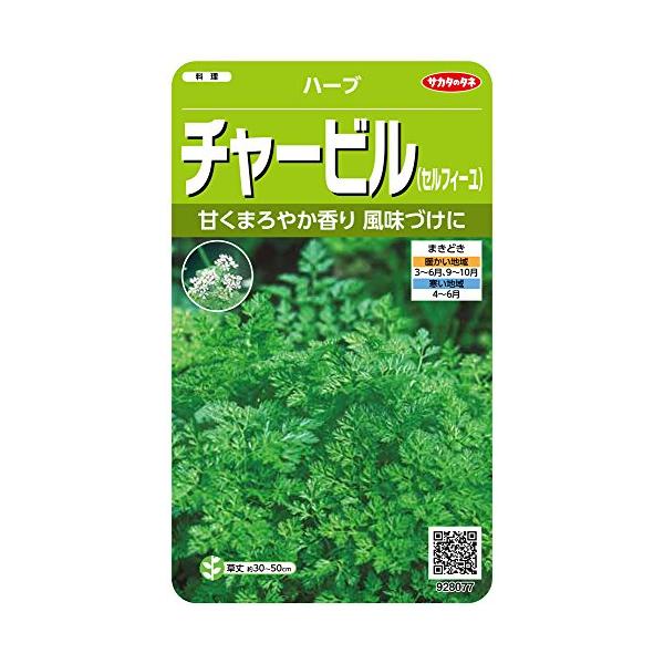 チャービル(セルフィーユ) ハーブgreen/5.9ml/00928077・Size:5.9ml・パッケージ個数:1・切替月:6月・詰量:5.9ml・発芽率:65・採苗本数:500・春秋扱い:春秋兼用種