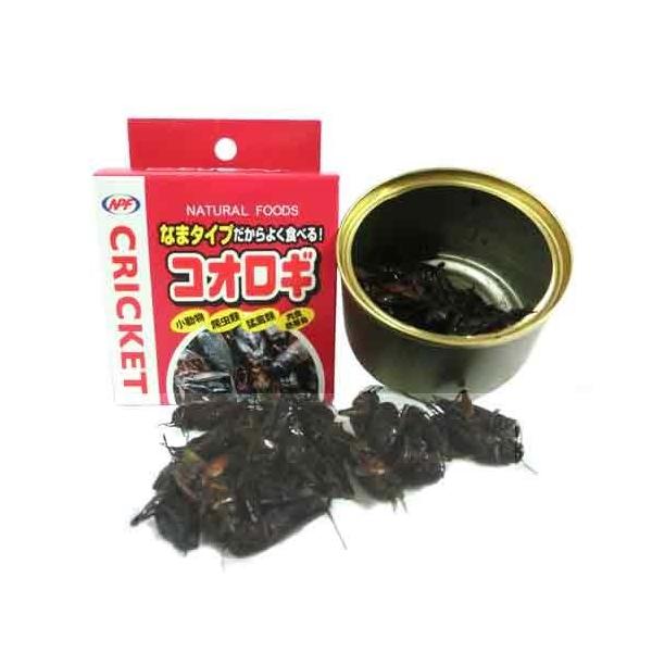 40g/40グラム (x 1)/4932804311098・Size:40グラム (x 1)・パッケージ個数:1・加熱処理により完全殺菌し、新鮮なまま缶詰にした衛生的なフードです。嗜好性抜群のなまタイプ!・本体サイズ (幅X奥行X高さ) :...