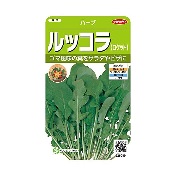 green/Pack of 1/00928089・Size:Pack of 1PatternName:単品・パッケージ個数:1・切替月:6月・詰量:2ml・発芽率:65・採苗本数:500・春秋扱い:春秋兼用種