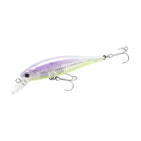 ミノー2342 リアルパープルチャートワカサギ/65SP サスペンディング/L0095・Color:2342 リアルパープルチャートワカサギSize:65SP サスペンディング・パッケージ個数:1・【LUCKY CRAFT B’Freeze...