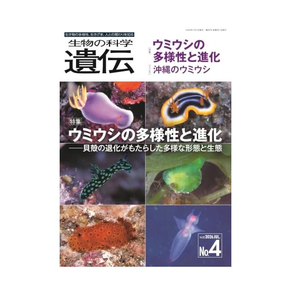 特集:ウミウシの多様性と進化 ―貝殻の退化がもたらした多様な形態と生態 本特集では 巻貝の革命児 ウミウシの多様性と したたかな生きざまの一端を紹介する。 巻貝の仲間でありながら殻がない あっても小さかったり体内に埋もれていたりと 身を守る...