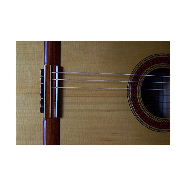 ・  D2BL・3つの穴を使い弦を固定するストリングタイ。・強度は保ちながら1つ0.5gと軽量化されています。・弦を張るのが簡単になり、弦の先が表板を傷つける心配も軽減。・ブリッジに弦を直接留めない事で明瞭なサウンドを生み出します。・Bla...