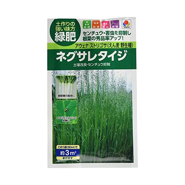 ネグサレタイジGreen/60ml/BMU527EBF・内容量:60ML・色: green・パッケージ重量: 0.04 kg