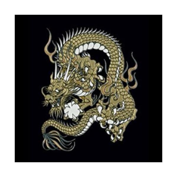 金龍/約40×50mm/IRO-RYU-GD-06・Size:約40×50mm・パッケージ個数:1・本体サイズ :約40×50mm・主な製造国 :日本・パッケージ重量: 0.03 pounds・形: 長方形