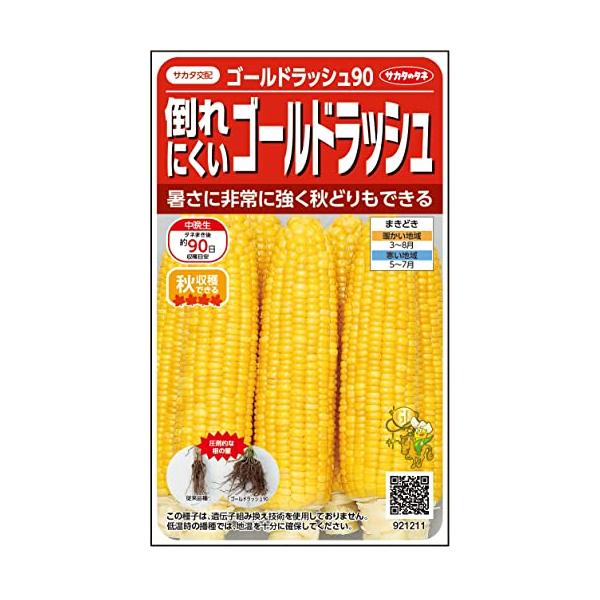 倒れにくいゴールドラッシュ90イエロー/-/921211・春まき、秋まき