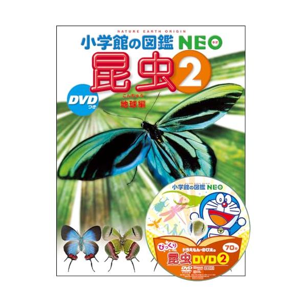 地球上に見られる昆虫を2000種以上紹介  累計100万部突破の大人気図鑑『小学館の図鑑NEO 昆虫』から、待望の2巻目が登場!今回のテーマは「地球上に見られる昆虫たち」です。 「世界一美しいチョウ」と言われるモルフォチョウ、摩訶不思議な形...