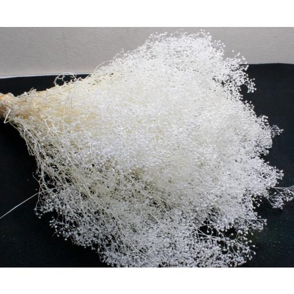 ミニカスミ草　大束 白 00017-010【プリザーブドフラワー・プリザーブド　花材】１束約125g約60cm＊自然の生花や植物を原料としています。サイズ、色、形などは同一ではありません。＊表示について《検索ワード》プリザーブドフラワー　ド...