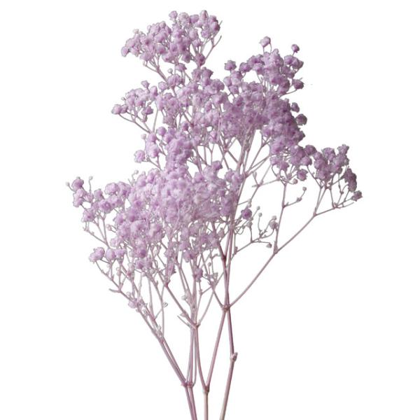 カスミ草・オーバータイム【プリザーブドフラワー・プリザーブド　花材】約50cmL/1束(約15g)＊自然の生花や植物を原料としています。サイズ、色、形などは同一ではありません。＊表示について《検索ワード》プリザーブドフラワー　ドライフラワー...