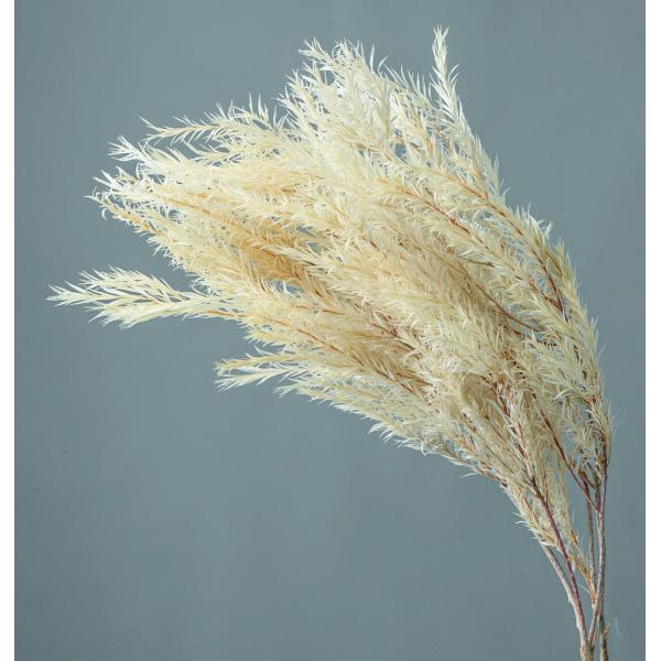 ティーツリー（メラレウカ） ナチュラルホワイト 01250-0101束（約40-45ｇ）約45-55ｃｍL＊自然の生花や植物を原料としています。サイズ、色、形などは同一ではありません＊表示について《検索ワード》プリザーブドフラワー　ドライフ...