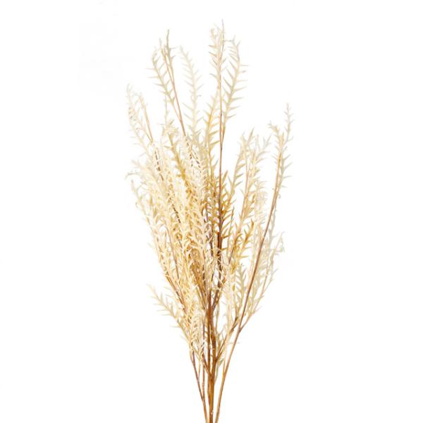 グレビレア・アイバンフォー【プリザーブドフラワー　花材】1束（約2本、約30ｇ）サイズ　約55ｃｍ＊自然の生花や植物を原料としています。サイズ、色、形などは同一ではありません大地農園＊表示について【この商品はお取寄せになります。】と表示され...