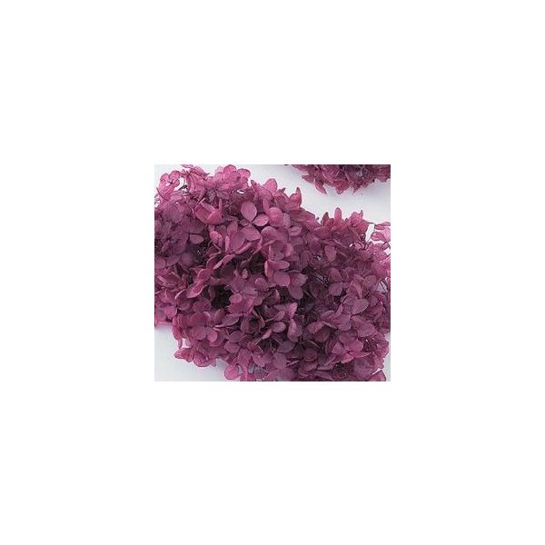 ピラミッドアジサイ・ヘッド カシスワイン 01510-241【プリザーブドフラワー・プリザーブド　花材】1箱（約2輪分）＊自然の生花や植物を原料としています。サイズ、色、形などは同一ではありません＊表示について■葉が縮れている物、葉が丸まっ...