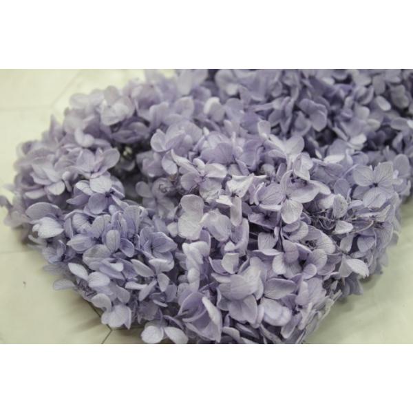 ピラミッドアジサイ・ヘッド ラベンダー 01510-411【プリザーブドフラワー・プリザーブド　花材】1箱（約2輪分）＊自然の生花や植物を原料としています。サイズ、色、形などは同一ではありません＊表示について■葉が縮れている物、葉が丸まって...