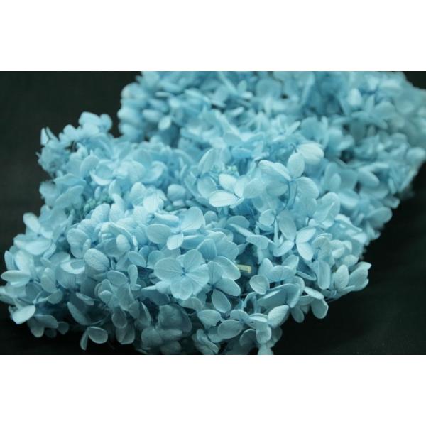 ピラミッドアジサイ・ヘッド ライトブルー 01510-611【プリザーブドフラワー・プリザーブド　花材】1箱（約2輪分）＊自然の生花や植物を原料としています。サイズ、色、形などは同一ではありません＊表示について■葉が縮れている物、葉が丸まっ...