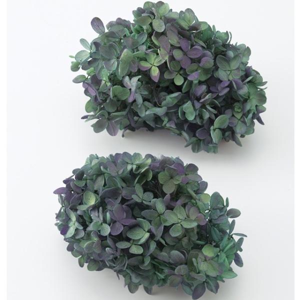 ピラミッドアジサイ・ヘッド ブルーパープル 01515-642【プリザーブドフラワー・プリザーブド　花材】1箱（約2輪分）＊自然の生花や植物を原料としています。サイズ、色、形などは同一ではありません＊表示について■葉が縮れている物、葉が丸ま...