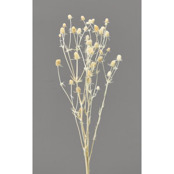 エリンジューム・ミニ１束 （約20g）約50-55cmL＊自然の生花や植物を原料としています。サイズ、色、形などは同一ではありません。＊表示について《検索ワード》プリザーブドフラワー　ドライフラワー　花材　資材　大地農園かざい　卸　問屋　ハ...