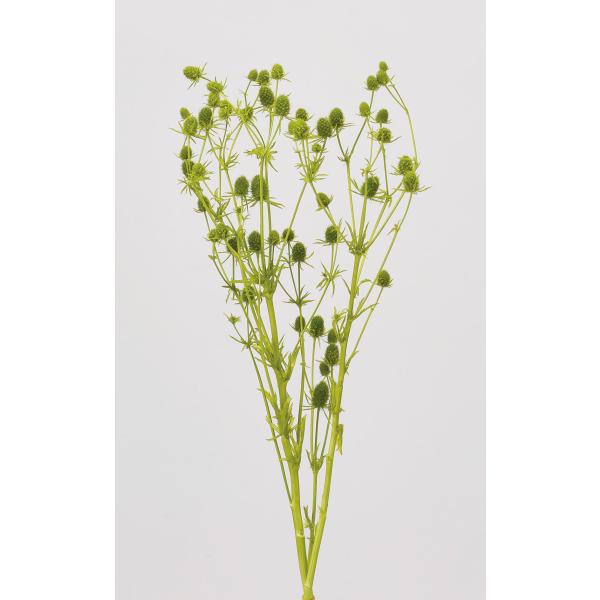 エリンジューム・ミニ１束 （約20g）約50-55cmL＊自然の生花や植物を原料としています。サイズ、色、形などは同一ではありません。＊表示について《検索ワード》プリザーブドフラワー　ドライフラワー　花材　資材　大地農園かざい　卸　問屋　ハ...