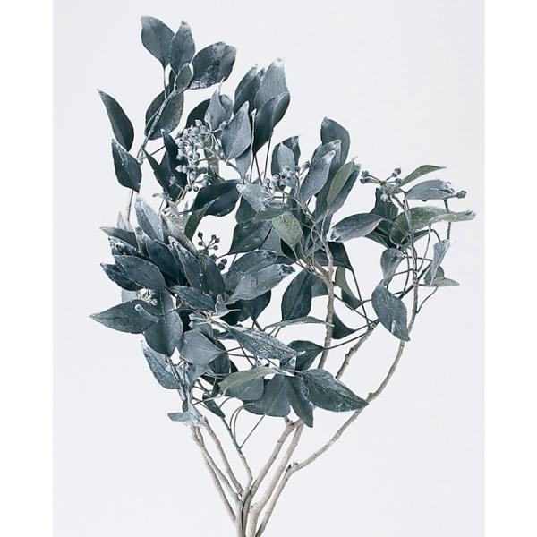 アイビー・実付き ウオッシュホワイト 02282-012【プリザーブドフラワー・プリザーブド　花材】１束（約50g）約35cm防虫加工＊自然の生花や植物を原料としています。サイズ、色、形などは同一ではありません。＊表示について《検索ワード》...